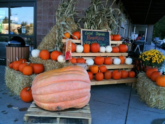 COMMUNITY FOOD CO-OP - CORDATA - Updated January 2026 - 23 Photos & 64 ...