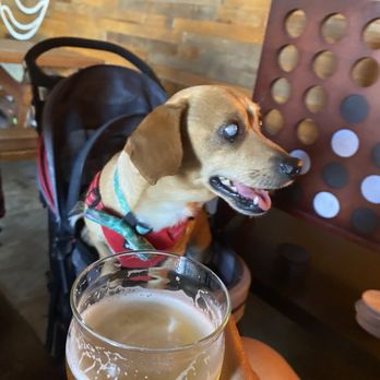 BREWJERIA COMPANY - Updated June 2024 - 212 Photos & 139 Reviews - 4937 ...