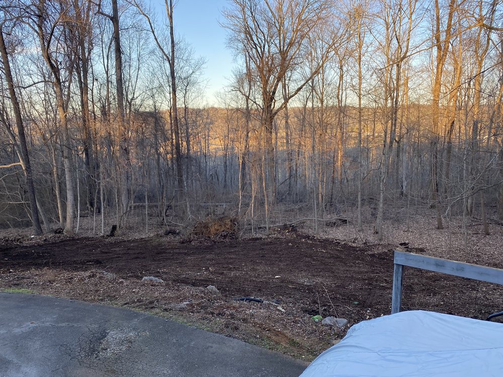 TREE WORKS - Updated January 2026 - Sparta, Tennessee - Tree Services ...