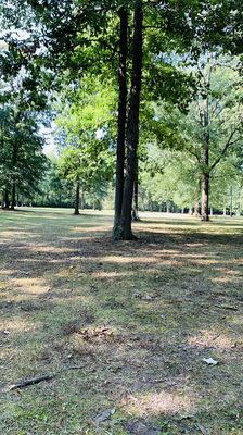 RAINTREE PARK - 22 Photos & 12 Reviews - 3775 John R Rd, Troy, MI - Yelp