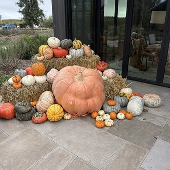 BEAR AT STANLY RANCH - Updated December 2025 - 1088 Photos & 273 ...