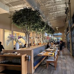 THE FINCH - Updated October 2025 - 584 Photos & 364 Reviews - 2955 S ...