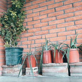 MAICO - Updated August 2024 - 106 Photos & 152 Reviews - 835 E 22nd St ...