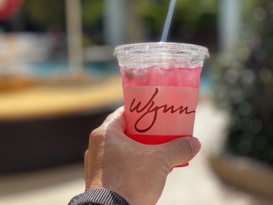 THE POOL AT WYNN - Updated October 2025 - 116 Photos & 27 Reviews ...