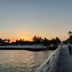 KEY WEST DOG BEACH - Updated June 2025 - 38 Photos & 26 Reviews ...