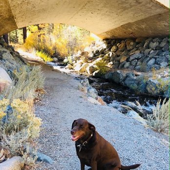 CALLAHAN PARK - Updated January 2025 - 75 Photos & 10 Reviews - 15960 ...