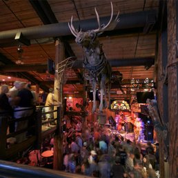 CALICO RESTAURANT AND BAR - Updated March 2025 - 238 Photos & 302 ...