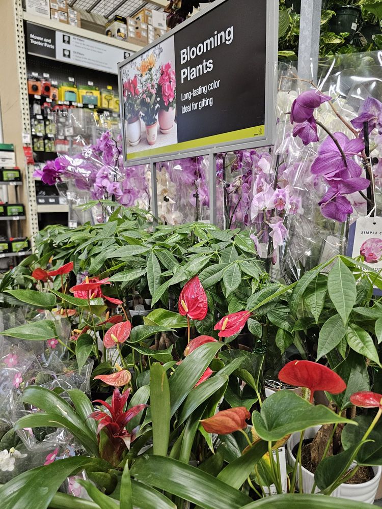 THE HOME DEPOT - Updated November 2024 - 10 Reviews - 2055 Barrett Dr ...