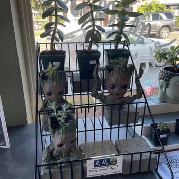 JAVA & CLAY CAFE - Updated January 2026 - 161 Photos & 117 Reviews ...