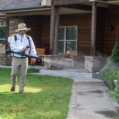 BULWARK EXTERMINATING - Updated October 2025 - 134 Photos & 43 Reviews ...