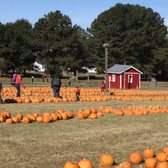 HILL RIDGE FARMS - 158 Photos & 51 Reviews - 703 Tarboro Rd ...