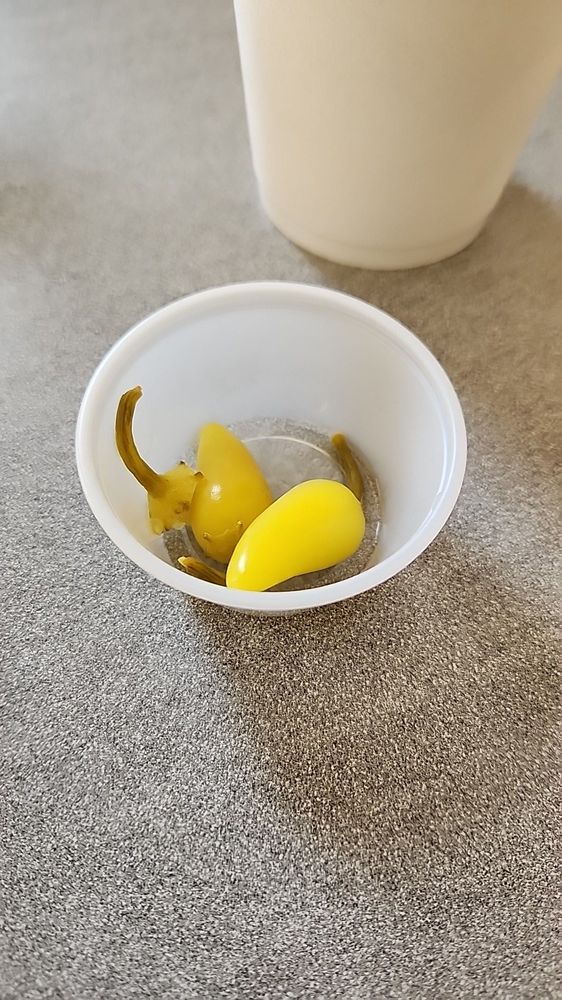 CHRIS’ BURGERS - Updated June 2024 - 40 Photos & 56 Reviews - 407 Iowa ...