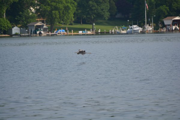 FLYING POINT MARINA - Updated December 2025 - 35 Photos - 324 Flying ...