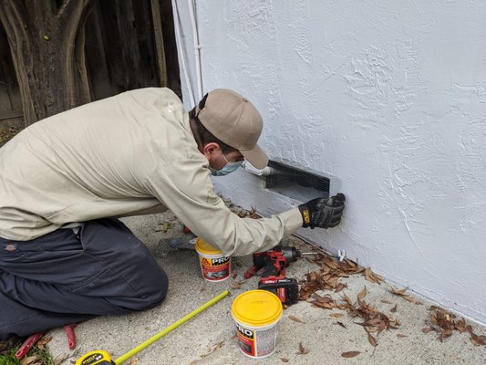 CITRA PEST CONTROL - Updated October 2025 - 41 Photos & 349 Reviews ...