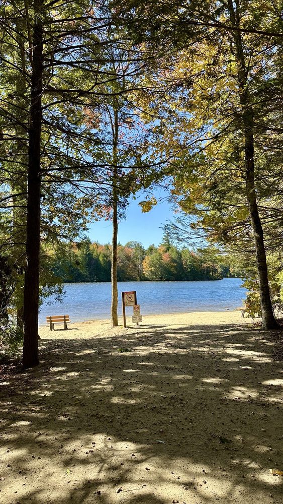 DAR STATE FOREST - Updated June 2026 - 24 Photos & 11 Reviews - 78 Cape ...