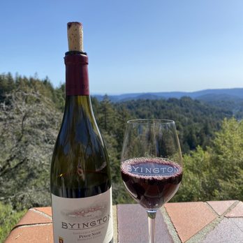 BYINGTON VINEYARD & WINERY - Updated June 2024 - 256 Photos & 235 ...