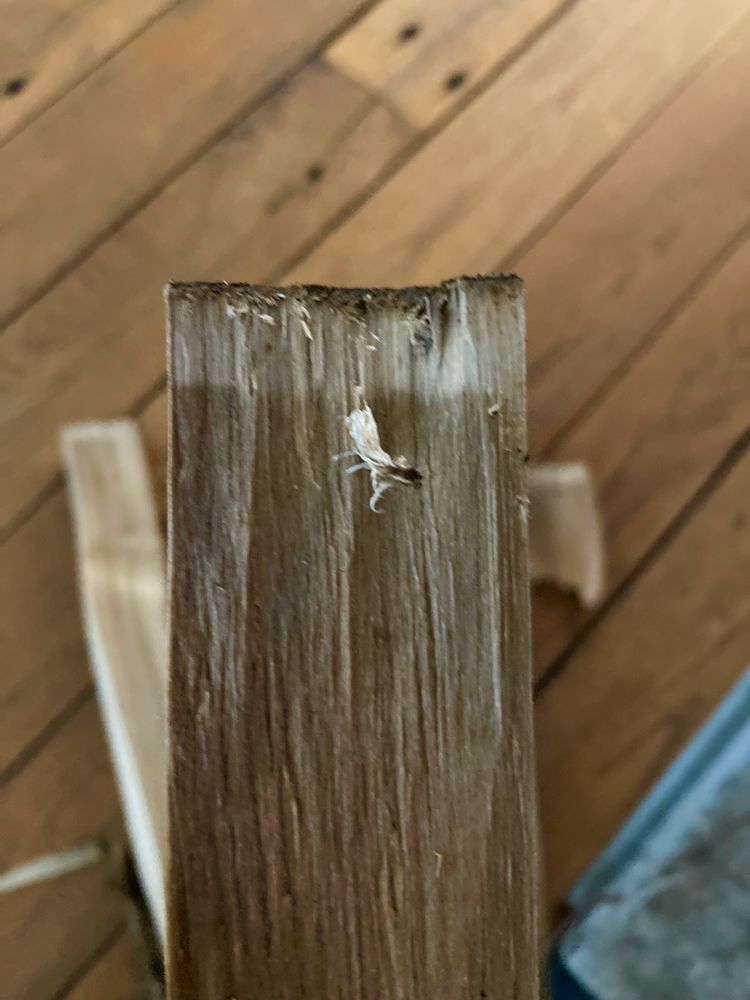 WILLIAM A. DAY JR. & SONS LOGGING & FIREWOOD - Updated December 2025 ...