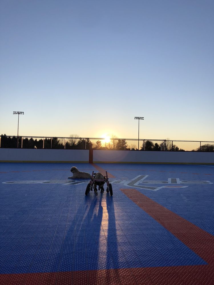 RIDGE ROAD RECREATIONAL PARK - Updated December 2025 - 18 Photos & 14 ...