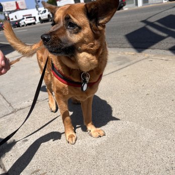 STANDING’S BUTCHERY - Updated August 2024 - 136 Photos & 156 Reviews ...