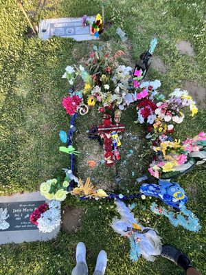 PITMAN FAMILY FARMS - Updated December 2025 - 12 Photos & 14 Reviews ...