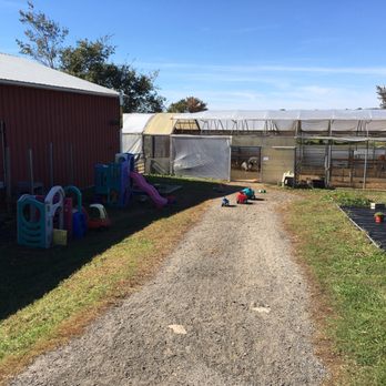 PEZZA FARM AND GARDEN CENTER - Updated October 2025 - 64 Photos & 18 ...