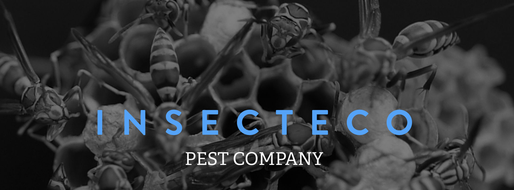 INSECTECO PEST COMPANY - Updated June 2026 - 16 Photos - 13420 Pulpwood ...
