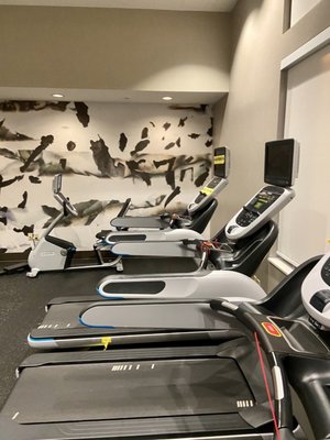 RESIDENCE INN BY MARRIOTT BALTIMORE DOWNTOWN/ INNER HARBOR - 154 Photos ...