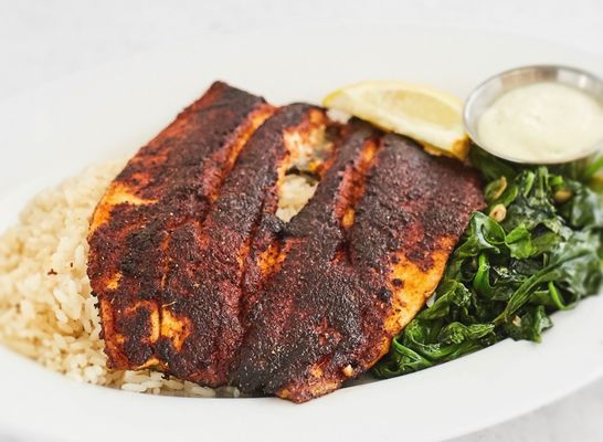 HALF SHELLS - Updated January 2026 - 124 Photos & 81 Reviews - 23501 ...