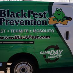 BLACK PEST PREVENTION - 14 Photos - Pest Control - 605 Springbrook Rd ...