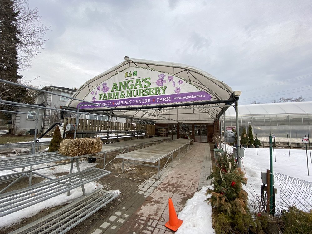 ANGA’S FARM & NURSERY - Updated September 2025 - 42 Photos - 89 ...