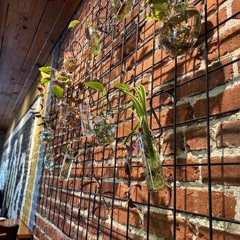 MOCKINGBIRD - Updated July 2024 - 130 Photos & 71 Reviews - 421 ...