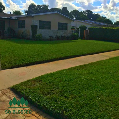 SO BLESSED LANDSCAPING - Updated May 2024 - Hollywood, Florida - Lawn ...