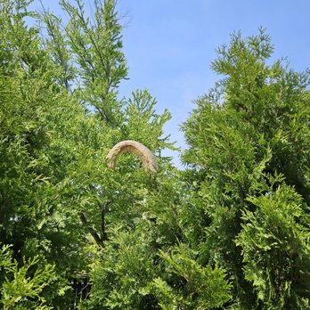 ROGER WILLIAMS PARK BOTANICAL CENTER - Updated October 2025 - 278 ...