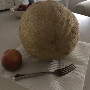 HALLOCK’S U-PICK FARM & GREENHOUSE - 42 Photos & 16 Reviews - 38 ...