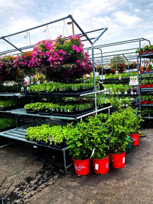 PICKERING VALLEY FEED AND FARM STORE - Updated April 2026 - 36 Photos ...