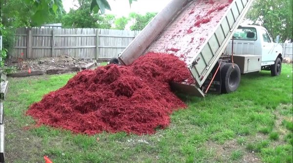 BJ TREE SERVICE - Updated December 2025 - 33 Photos - 1300 Hulton Rd ...