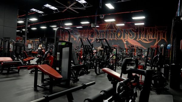 DRAGON’S LAIR GYM - Updated May 2026 - 56 Photos & 34 Reviews - 7850 ...