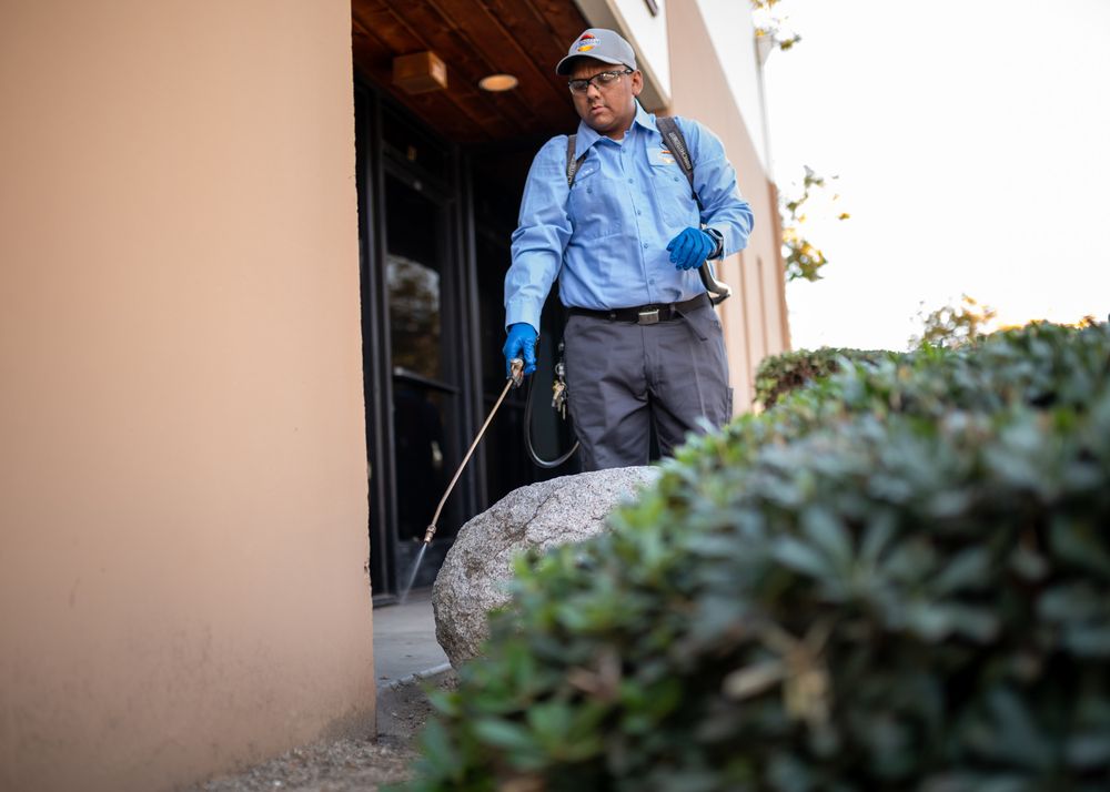 SUNCOAST PEST MANAGEMENT - Updated April 2024 - 12 Photos - 36589 Old ...