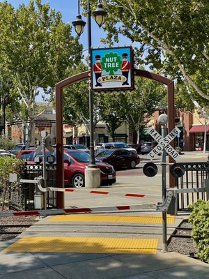 NUT TREE - Updated September 2025 - 297 Photos & 133 Reviews - 1661 E ...