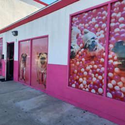 CUPPA PUG - Updated June 2025 - 166 Photos & 62 Reviews - 607 W 9th Ave ...