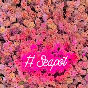 SEAPOT - Updated March 2025 - 835 Photos & 548 Reviews - 6009 Florin Rd ...