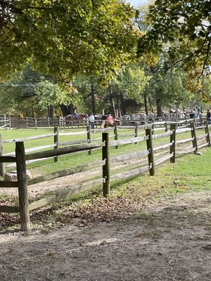 UPLAND HILLS FARM - 57 Photos & 13 Reviews - 481 Lake George Rd, Oxford ...