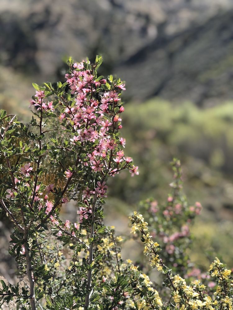 HUNTER CREEK WATERFALL TRAIL - Updated April 2024 - 379 Photos & 67 ...