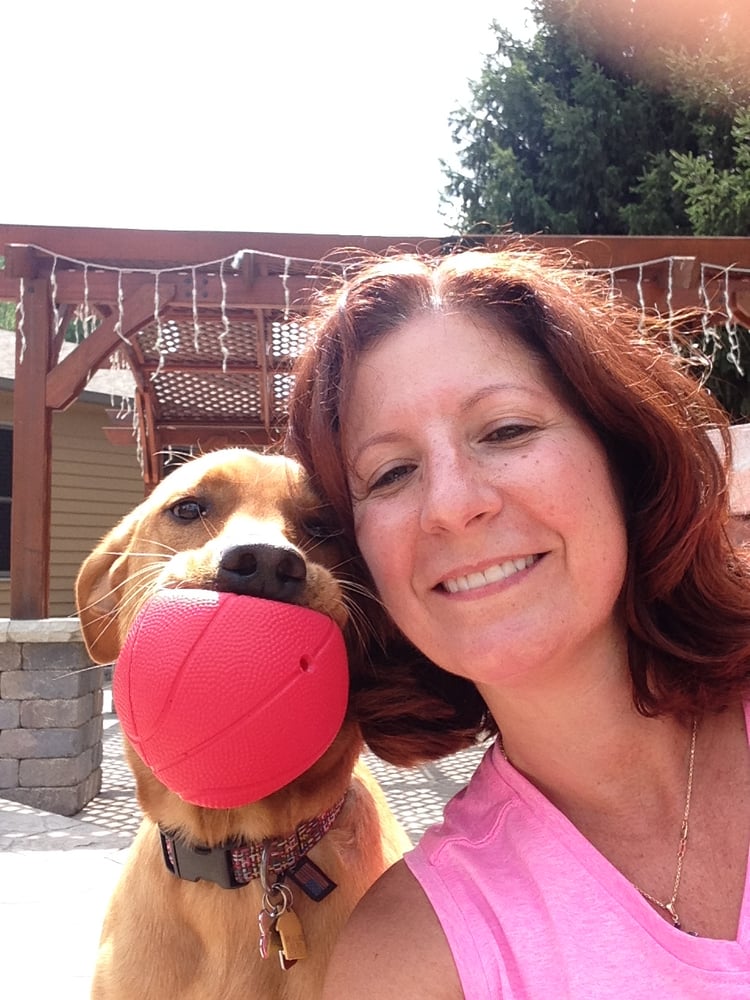 CRITTER SITTERS - Updated October 2025 - Montgomery, Illinois - Pet ...