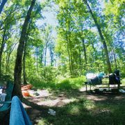 GREEN RIDGE STATE FOREST - 115 Photos & 16 Reviews - 28700 Headquarters ...