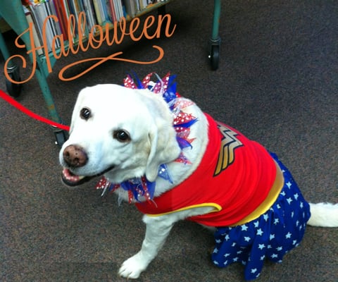 SIMI VALLEY PUBLIC LIBRARY - Updated November 2025 - 40 Photos & 38 ...