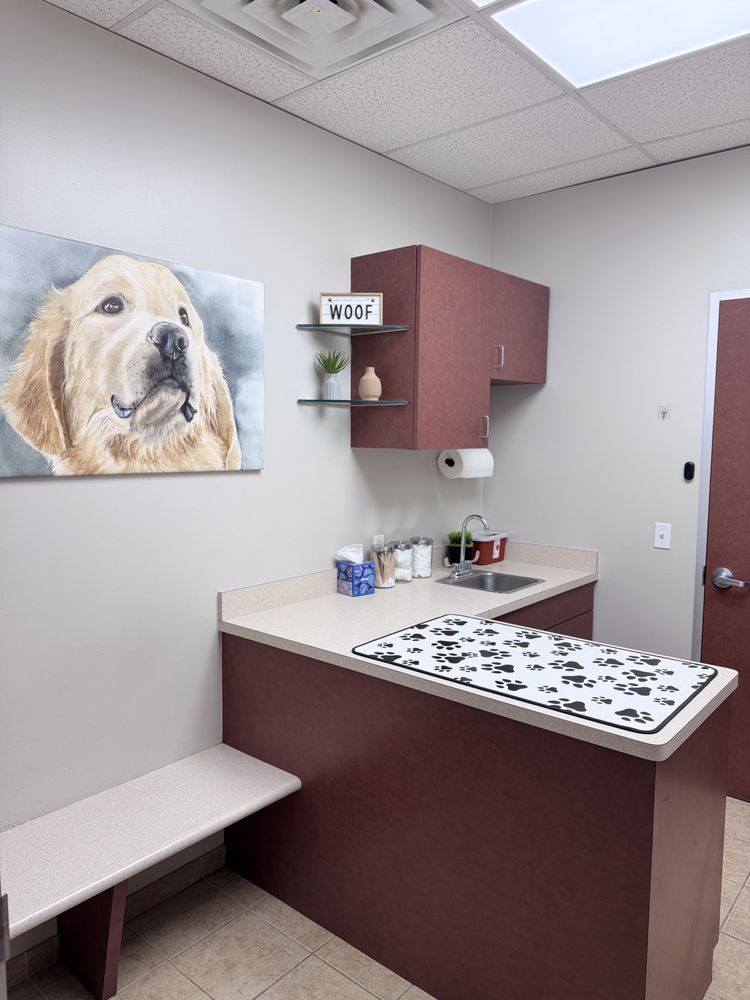 FRIENDSWOOD VETERINARY HOSPITAL - Updated March 2025 - 111 Woodland ...