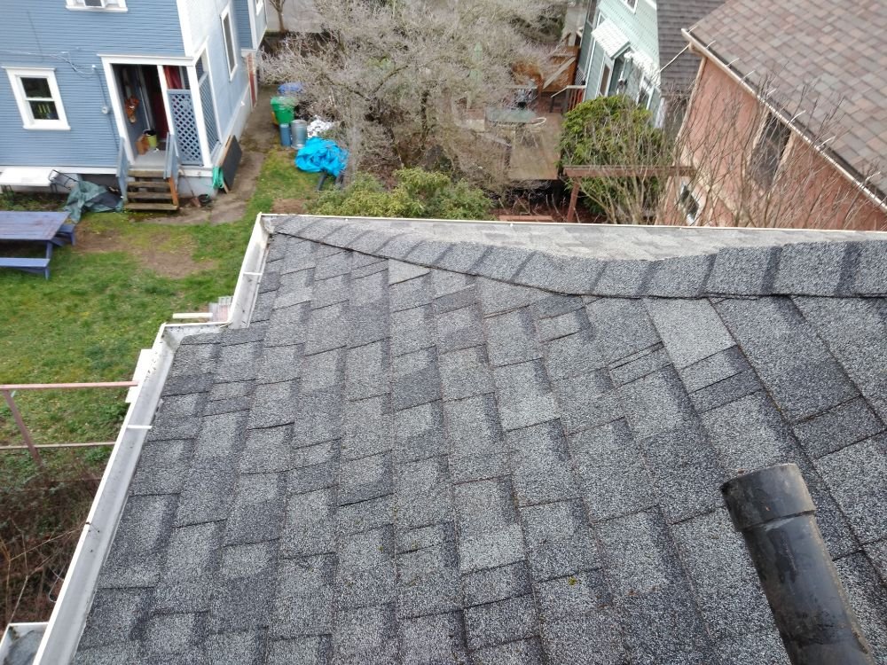 CHARITY’S ROOF AND GUTTER CLEANING - Updated April 2026 - 24 Photos ...