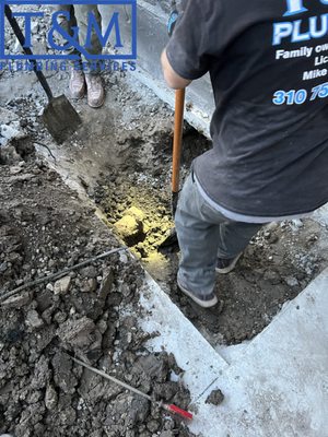 T & M PLUMBING - Updated May 2026 - 66 Photos & 11 Reviews - Hawthorne ...