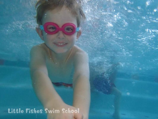 LITTLE FISHES SWIM SCHOOL - Updated September 2025 - 12 Reviews - 17359 ...
